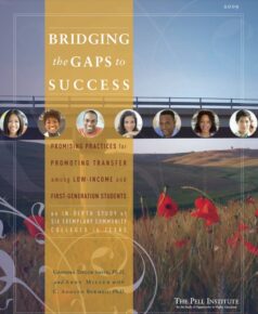 Bridging the Gaps to Success - Promising Practices for Promoting ...
